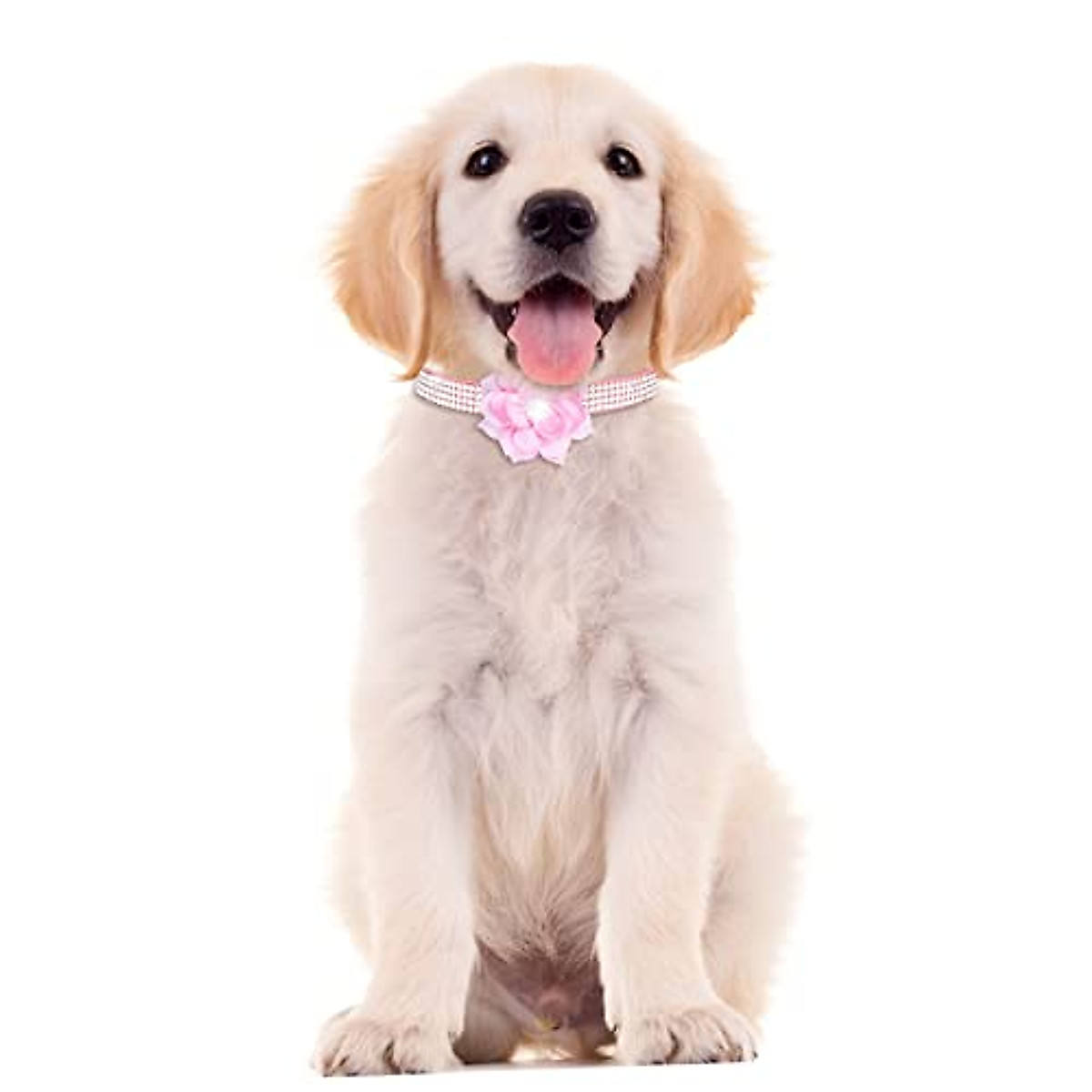 Matching Collar and Bracelet Male Dog 2 Adjustable Sizes Personalized Rhinestone Flower Tie Cotton Girls Cat Collar with Metal Buckle Puppy Collars for Cat Pet Gift