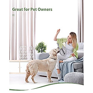 2-Pack Replacement Filter for Air Purifier, 3 in 1 with Pre-filter, H13 True HEPA Filter & Activated Carbon Filter