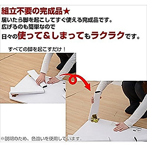 broken leg low table (75x50)