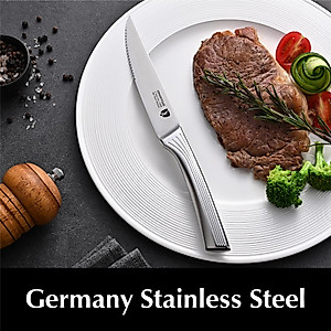 KINGSTONE 5" Steak Knife Set Kitchen Steak Knives set of 8 German Stainless Steel Serrated Steak Knives with Gift Box Dishwasher Safe (8, sliver)