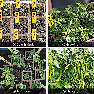 120Cells Seedling Start Trays,10 Pack Peat Pots Seedling Pots Biodegradable,Seedling Starter Kit,Organic Germination Plant Starter Trays,Cell Pots with 100 Labels,2 Transplant Tools,1 Spray Bottle