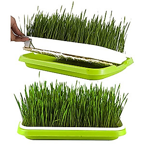 3 Layers Seed Sprouting Kit with 6-Pack Seed Sprouter Tray BPA Free for Alfalfa Sprouts Wheatgrass Grower Sprouting, Stainless Steel Shelf Seed Sprouting Tray