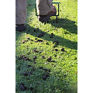 Landzie Hollow Tine Fork Lawn Aerator - 42 Inch Manual Stainless Steel Gardening Hand Tool - Grass Dethatcher Aerator Lawn Tool with Coring Tines for Compacted Soil - Lawn Plugger Aerator…