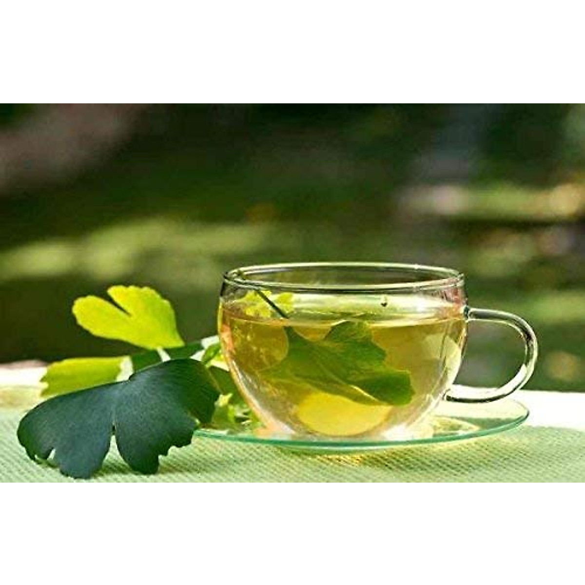 Ginkgo Leaf - Premium Ginkgo Biloba Loose Leaf 100% from Nature (12 oz)