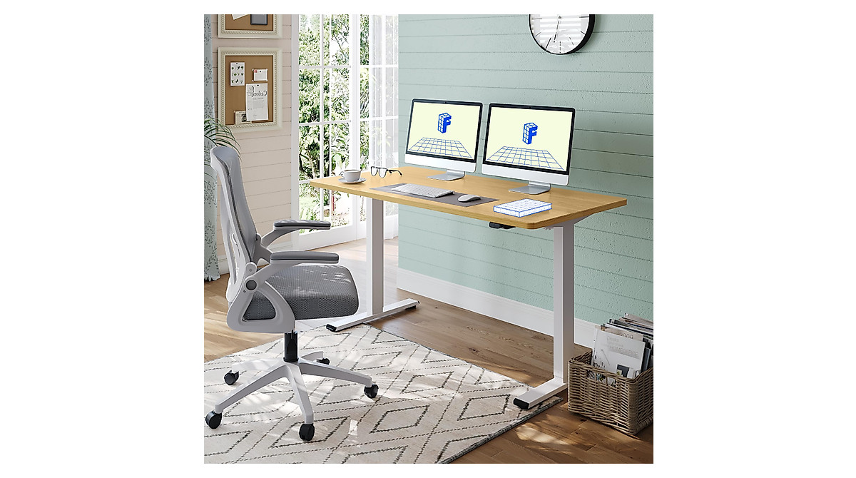 FLEXISPOT Electric Standing Desk Whole Piece 55 x 28 Inch Desktop ...