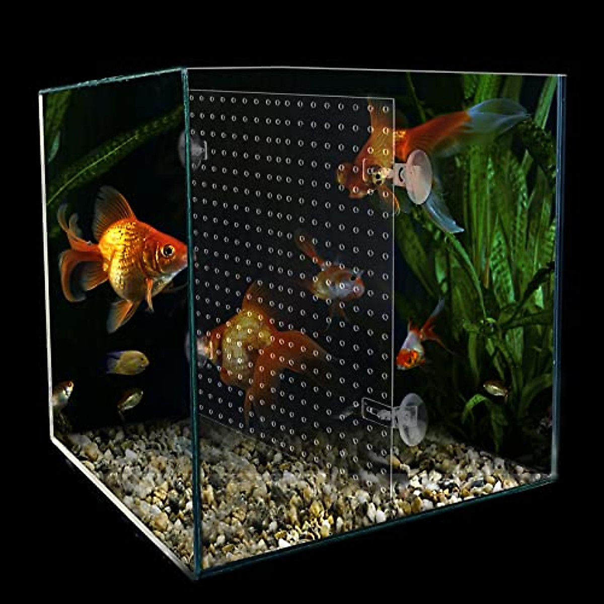Acrylic Aquarium Fish Tank Divider Clear Kit Fit for All Type Aquarium Divider with Suction Cups (Kit A -1 PC 9.8"x11.8")