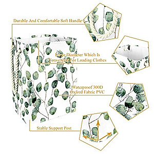 MAPOLO Laundry Basket Eucalyptus Leaves Pattern Foldable Laundry Hamper with Handles Detachable Brackets Well-Holding Waterproof for Clothes Toys Organization in Laundry Room Bedroom Bathroom