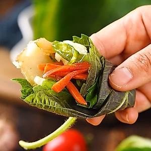 For 2024! 200 Perilla Seeds,Non GMO Seeds for Sprouting, Heirloom Vegetable Seeds for Planting. Great Hydroponic Seeds for Pods(Egoma/Sesami Herb Seeds #2,Perilla 紫苏,Green-1g,200 Seeds)