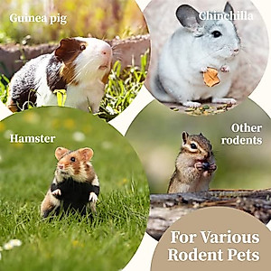 FELISTORY Wooden Foraging Toy for Small Pet - 6 in 1 Interactive Hide Treats Puzzle Snuffle Game, Mental Stimulation Toy for Guinea Pig,Rabbit,Hamster,Hedgehog, Chinchilla, Mouse,Rats,Sugar Gilders