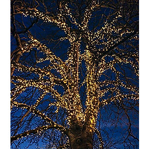 DecoBrite Incandescent 69ft (21m) 300 ct Christmas String Lights Clear with Green Wire, Indoor Outdoor Christmas Lights Decorations for Tree, Patio, Garden（300 Clear Bulbs with Green Wire