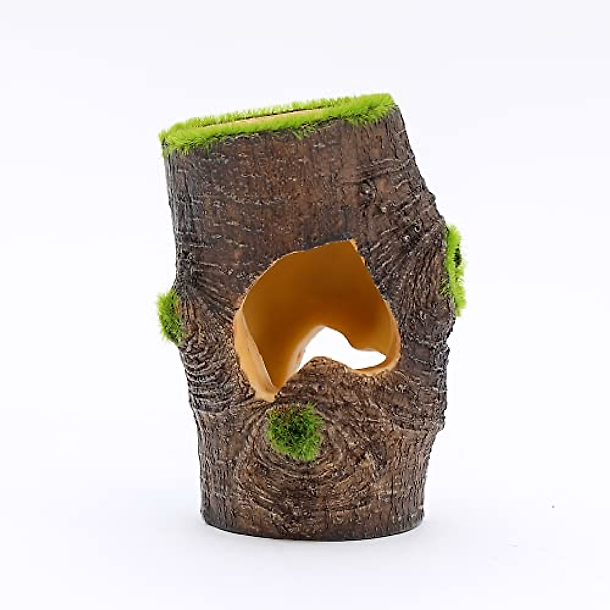 Penn-Plax Aqua-Flora Aquarium Living Resin Decoration with Embedded Glosso Plant Seeds – Tree Base – Safe and Healthy for Freshwater Fish