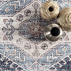 nuLOOM Drina Machine Washable Distressed Area Rug
