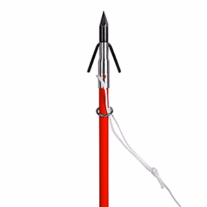 Cajun Bowfishing Slide Rings 10-Pack - Enhanced Penetration for Deep Water Fishing, Added Strength for Large Fish, Premium Stainless Steel Construction, Saltwater Approved , Easy Installation