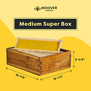 Hoover Hives 10 Frame Langstroth Beehive Dipped in 100% Beeswax Includes Wooden Frames & Waxed Foundations (2 Deep Boxes, 1 Medium Box)