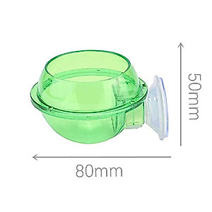 NA Reptile Food Bowl Anti-Escape Chameleon Bowl Cup Reptile Feeder Translucent Home Pet Feeder Supplies Accessories for Tortoise Gecko Snakes Chameleon Iguana
