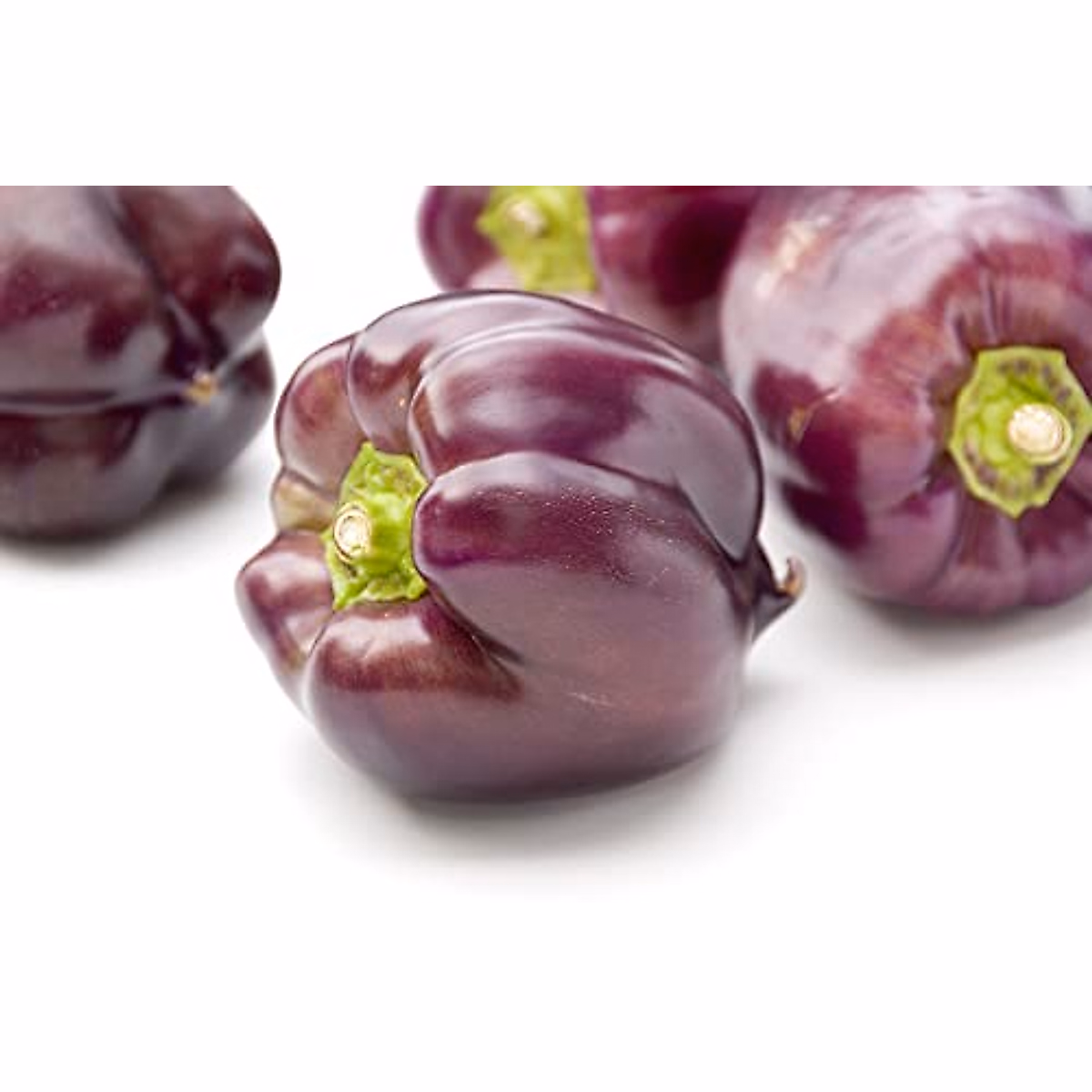 Sweet Lilac Purple Bell Pepper Seeds for Planting, 50+ Heirloom Seeds Per Packet, (Isla's Garden Seeds), Non GMO Seeds, Scientific Name: Capsicum annuum, Great Home Garden Gift