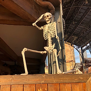 2Packs 5.4ft Halloween Human Skeletons Life Size Full Body Bones with Movable Joints for Halloween Props Spooky Party Decoration