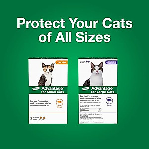 Advantage Topical Cat Flea Treatment and Prevention for Large Cats Over 9 lbs. | Apply Flea Drops Monthly | 2 Treatments