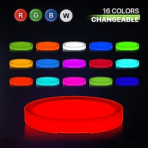 Magshion LED Light-Up Serving Tray 16 Color Cocktail Party Service Delivery Tray Rechargeable Multicolor Lighting Serving Trays Barware with Remote for Music Theme Birthday Party