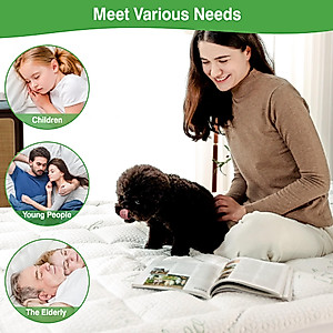 GOONIK Queen Mattress Pad Cover, Viscose Made from Bamboo Pillow Top Cooling Mattress Topper for Queen Size Bed, 6-21 inches Deep Pocket, 60x80 inches