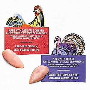 Purina Beyond Chicken, Beef and Carrot and Turkey, Sweet Potato and Spinach in Wet Cat Food Gravy 12 Ct Variety Pack - (2 Packs of 12) 3 oz. Cans