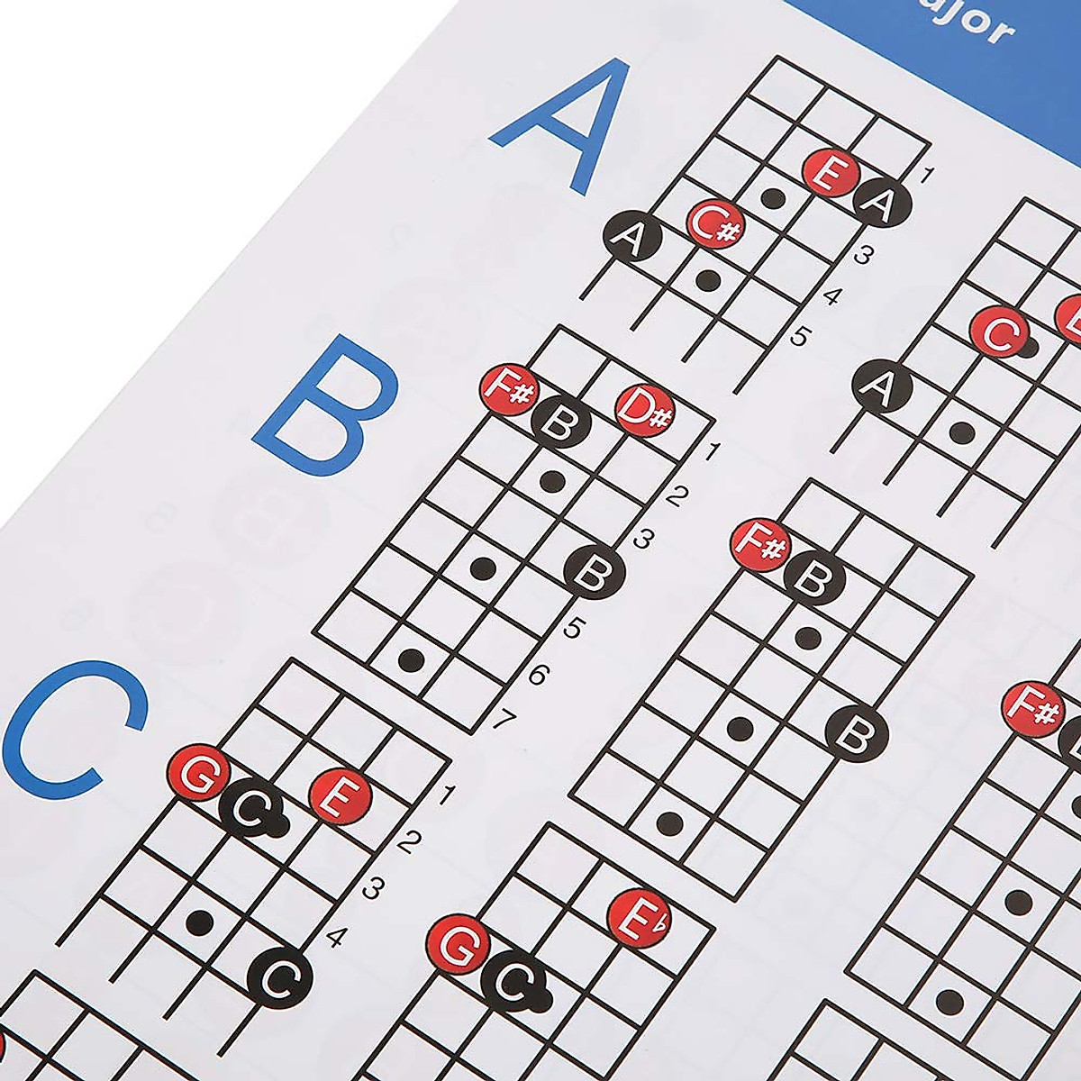 Bass Guitar Chords Chart, 4-String Bass Note Chart of Scale Chords for Beginners and Teachers Wear-Resistant Bass Reference Poster Bass Guitar Chords Poster