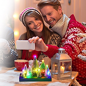 Mini Christmas Trees, Artificial Christmas Tree Desktop Decoration with LED Colour Lights, Xmas Christmas Tree Festival Gift Ornament #P