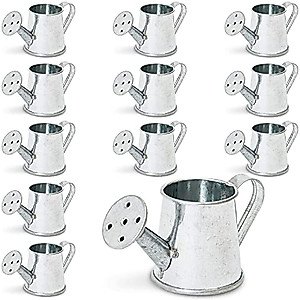 12-Pack Mini Galvanized Watering Can, Decorative Mini Watering Can for Crafts, Party Favors, Housewarmings, Garden-Theme Parties, and Home Decor (Silver, 3x1.6 in)