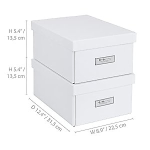 Bigso Karin Collapsible Storage Box | Photo Storage Box with Labelframe for Identification | Simple Assembly without Tools | Decorative Storage Boxes with Lids | 8.9″ x 12.4″ x 5.4″ | 2 Pack | White
