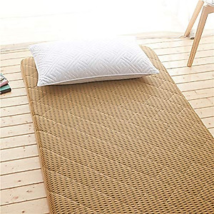 Soft Japanese Quilting Futon Mattresses, Thicken 10cm Tatami Mattress Foldable Floor Mat, Four Seasons Sleeping Pad-Coffee 120x190cm(47x75inch)
