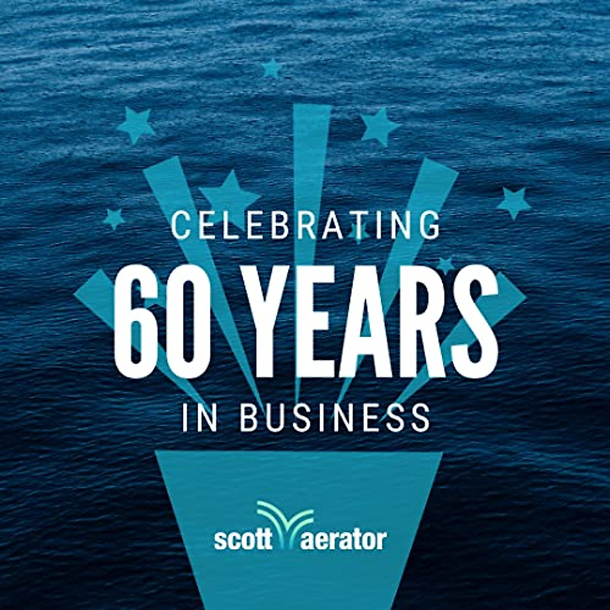 Scott Aerator Night Glo Residential Outdoor Fountain LED Light Set for Scott Aerator Fountains and Display Aerators | Set of 2 Warm White Light Kits with Accessories | Outdoor Efficient Pond Lights