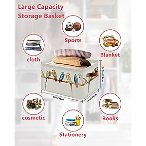 Storage Bins, Parrot Bird on Branch Storage Baskets for Organizing Closet Shelves Clothes Decorative Fabric Baskets Large Storage Cubes with Handles