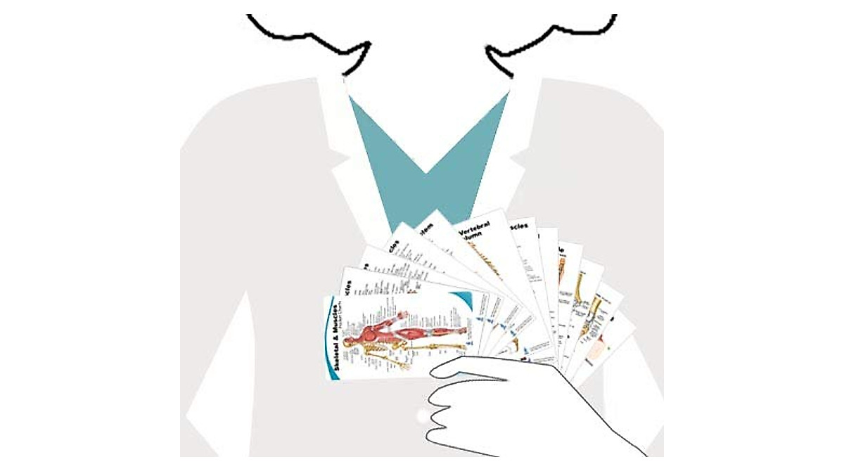 Anatomical Muscle Poster Set & Pocket Charts | Blue Tree Publishing