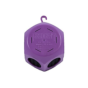 Innofresh Fridge-It- Refrigerator Deodorizer, Odor Absorber and Air Freshener- 1 Pack. Natural Activated Charcoal and Fragrance Free, Lasts up to 6-Months