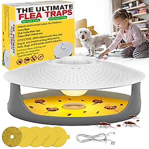 HiAnifri Flea Traps for Inside Your Home,Flea Killer for Home with Sticky Pads,Easy to Use 2 LED Light Modes Flea Light Trap for Indoor Outdoor, Effective Flea Home Treatment for House