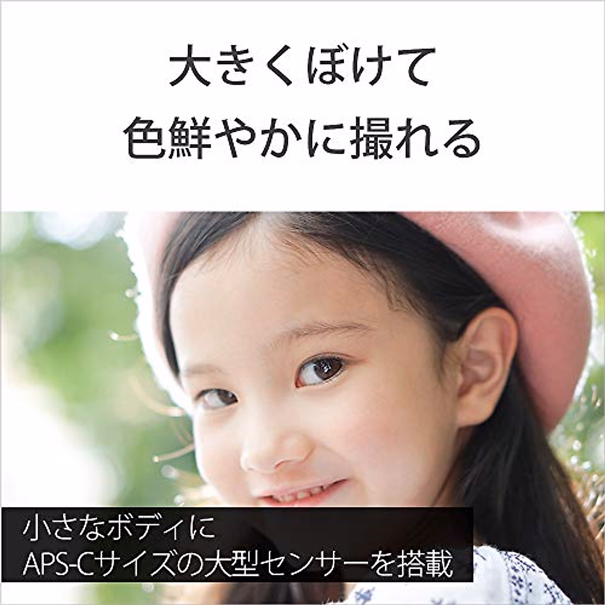 Sony Alpha a6000 Mirrorless Digital Camera 24.3 MP SLR Camera with 3.0-Inch LCD - Body Only (Black) (Certified Refurbished)