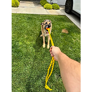 Runball Dog Rope Toy with Ball for Tug of War, Training, Fetch, Interactive Pull Toy, Teeth Cleaning Ball for Medium and Large Dogs, 10 Foot Rope and 2.75 Inch Ball