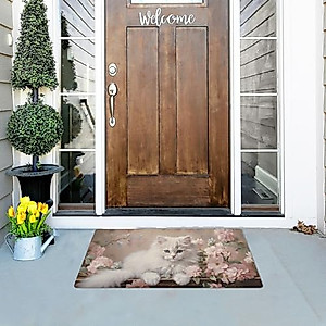 MUKJHOI Welcome Mats 32x20 Inch for Front Door Outdoor Cat (42) Doormat Non-Slip Rubber Mat for Home Indoor Farmhouse Funny Kitchen Rugs Balcony Patio