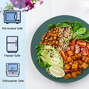 Flat Dinner Plates Set of 8 Alternative for Plastic Plates Microwave and Dishwasher Safe Wheat Straw Plates for Kitchen Unbreakable Kids Plates with 4 Colors (Multi,10 inch)