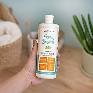Oxyfresh Fresh Breath Fresh Mint Mouthwash – Dentist Recommended for Long-Lasting Fresh Breath & Healthy Gums | Alcohol & Fluoride Free (1-16 oz Bottle)