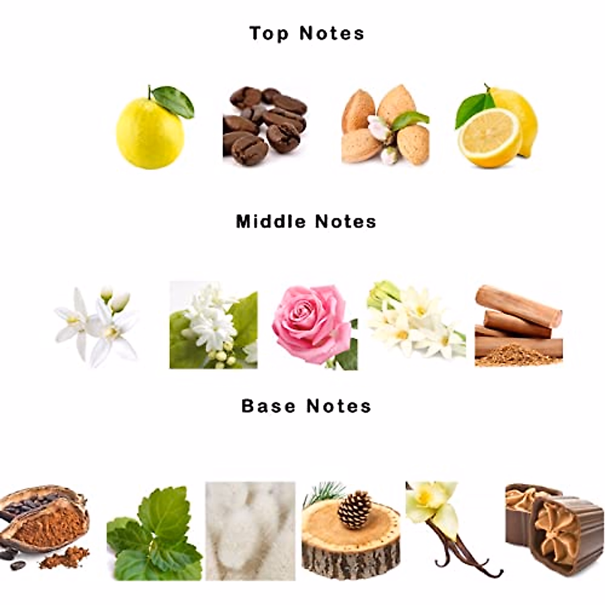 Reldor Perfume for Women with Pheromones - Seductive Oriental Floral Fragrance with Almond, Coffee, Cinnamon, Cacao Pad, and Vanilla Notes， Pheromone Perfume Oil for Women, 10ml Roll-On Bottle