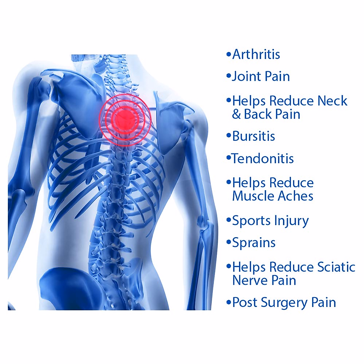 APC CREAM WITH CANNABIS OIL 8OZ | Helps with Arthritis Pain and Joint Pain | Helps Reduce Neck & Back Pain | Helps Reduce Tendonitis | Helps Reduce Sciatic Nerve Pain