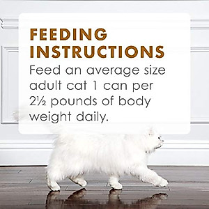 Purina Fancy Feast Gravy Lovers Poultry and Beef Gourmet Wet Cat Food Variety Pack - (24) 3 oz. Cans