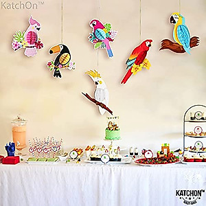 KatchOn, Big Tropical Birds Honeycomb Cutouts - Pack of 6, Luau Party Decorations | Hawaiian Party Decorations | Tropical Party Decorations, Tropical Birthday Party Decorations, Rainforest Decorations