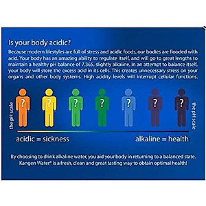 Enagic Leveluk K8 Water Filter Machine