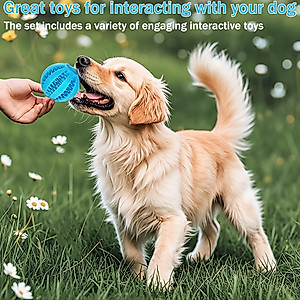 PawsAion 20 Pack Puppy Toys Set - Puppy Chew Toys for Teething, Interactive Dog Teething Toy for Small Breeds - Tough Rope Toys for Puppies, Cute Soft Rubber Toys Bundle for Teeting Pets