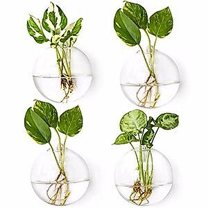 Ivolador Wall Mounted Plant Terrariums Oblate Hanging Glass Propagation Station Container for Propagating Hydroponic Plants Home Garden Wedding Décor