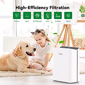 Afloia Original 3-Stage Filter, Compatible with Europa Air Purifier, Remove 99.99% Pets Hair Dander Odor Dust Smoke Mold Pollen, 2 Packs