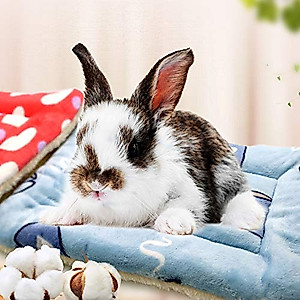 Rypet Small Animal Bed 2PCS - Rabbit Bed House Winter Warm Fleece Sleep Pad for Squirrel Hedgehog Bunny Chinchilla and Other Small Animals, Random Color