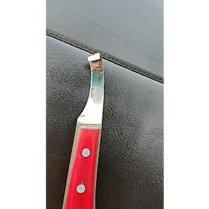 Diner House Farrier Tools Horse Hoof Knife Loop Premium Narrow Japanese Steel Blade Plain with Beautiful Color wooded Handle (Left)